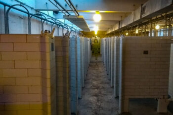 Big Pit | Explore South Wales