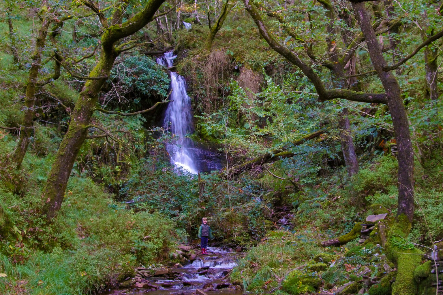 Crynant Forest | Explore South Wales