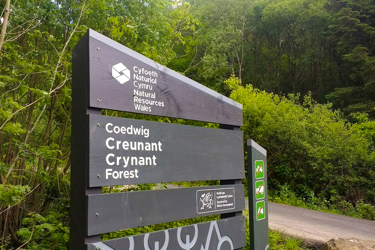 Crynant Forest | Explore South Wales