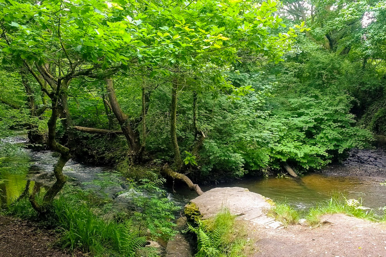 Neath Abbey Iron Works & Waterfalls | Explore South Wales