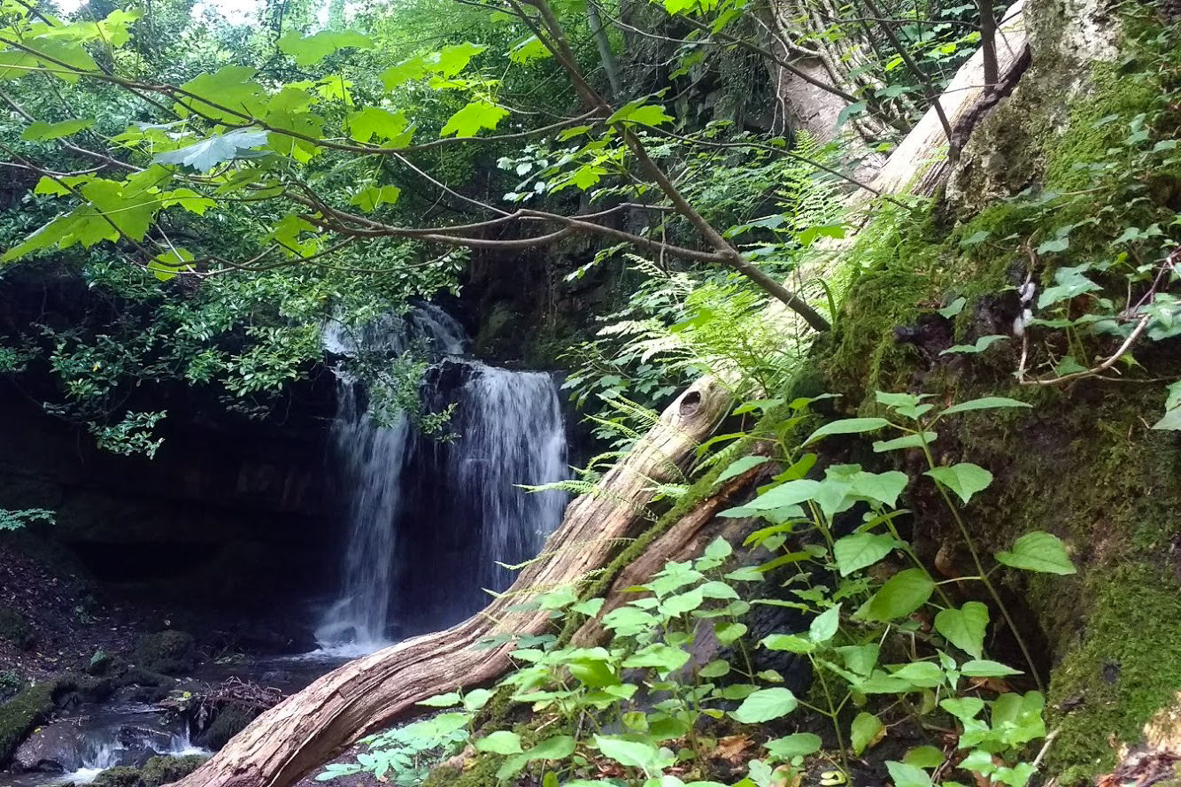 Neath Abbey Iron Works & Waterfalls | Explore South Wales