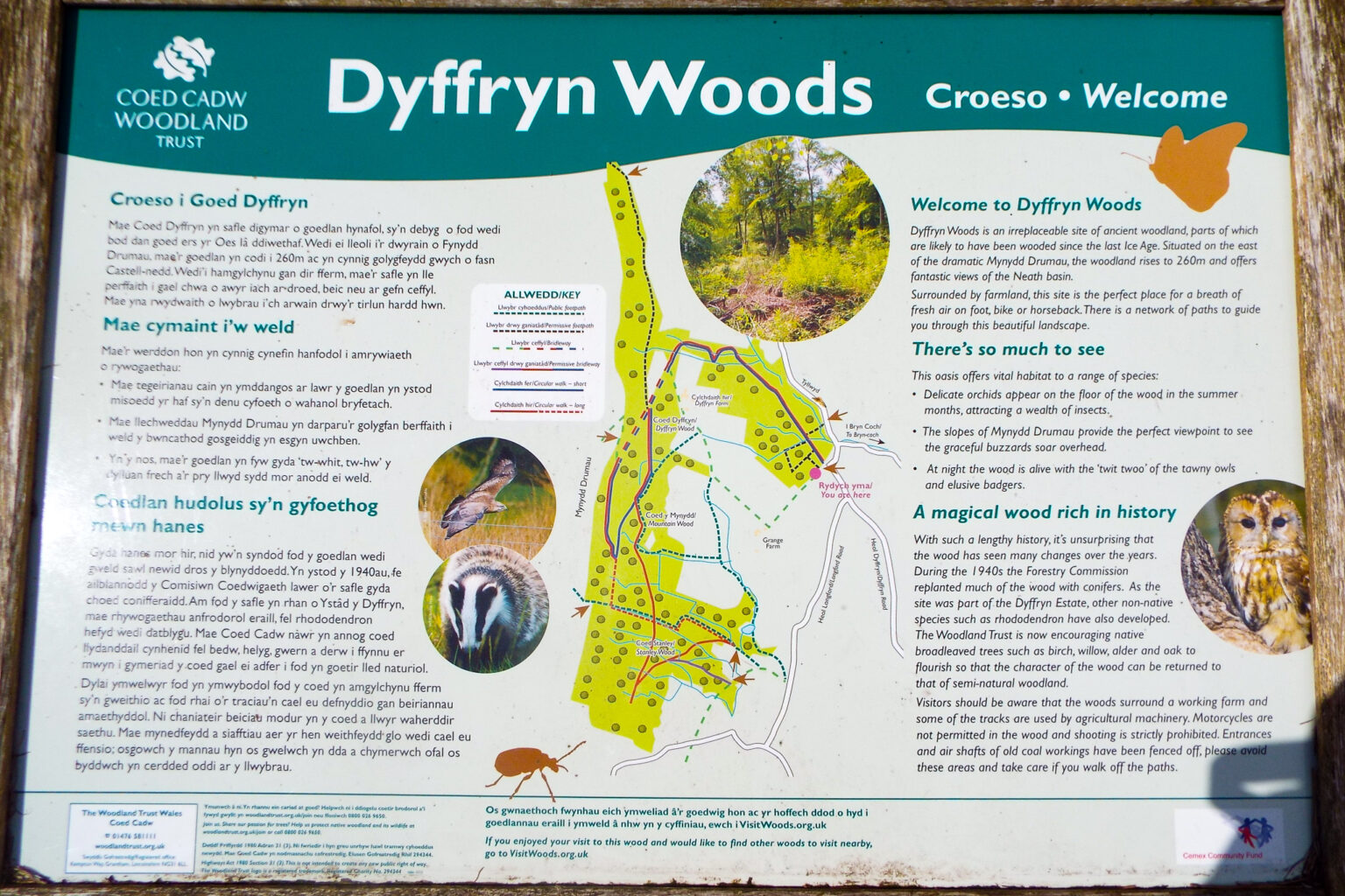 Dyffryn Woods | Explore South Wales