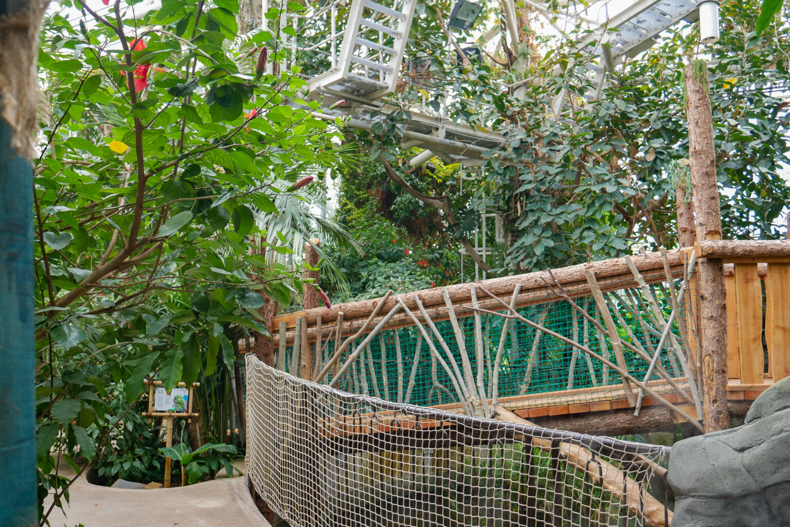 Plantasia | Explore South Wales