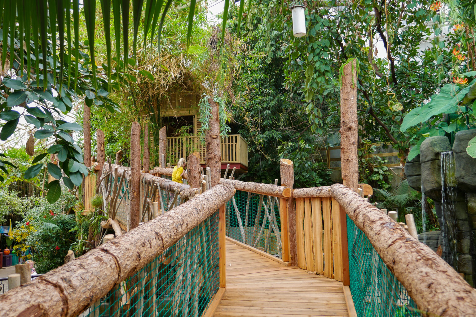 Plantasia | Explore South Wales