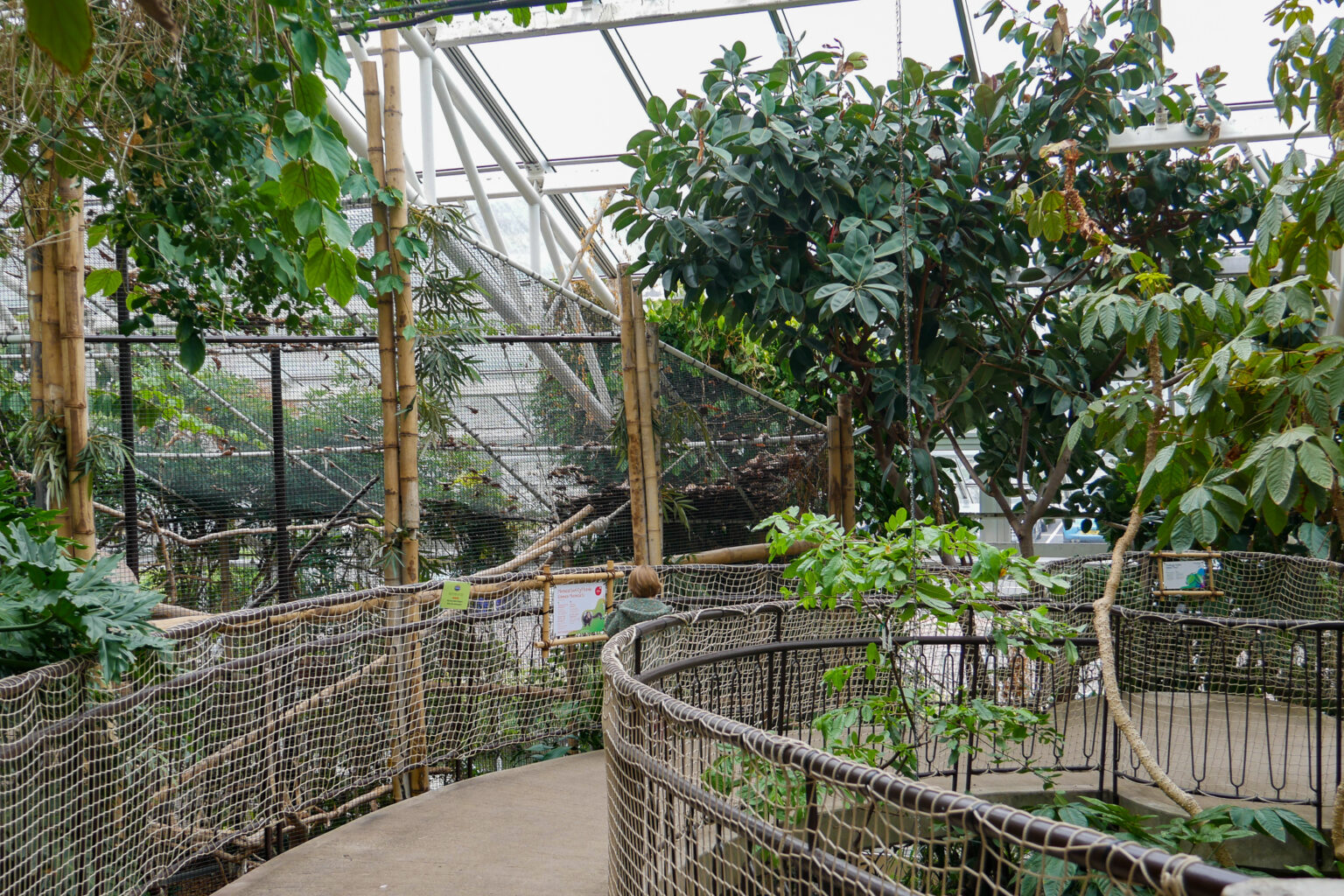 Plantasia | Explore South Wales