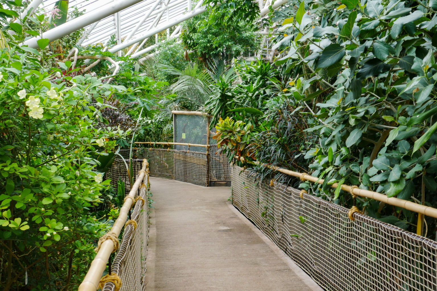 Plantasia | Explore South Wales