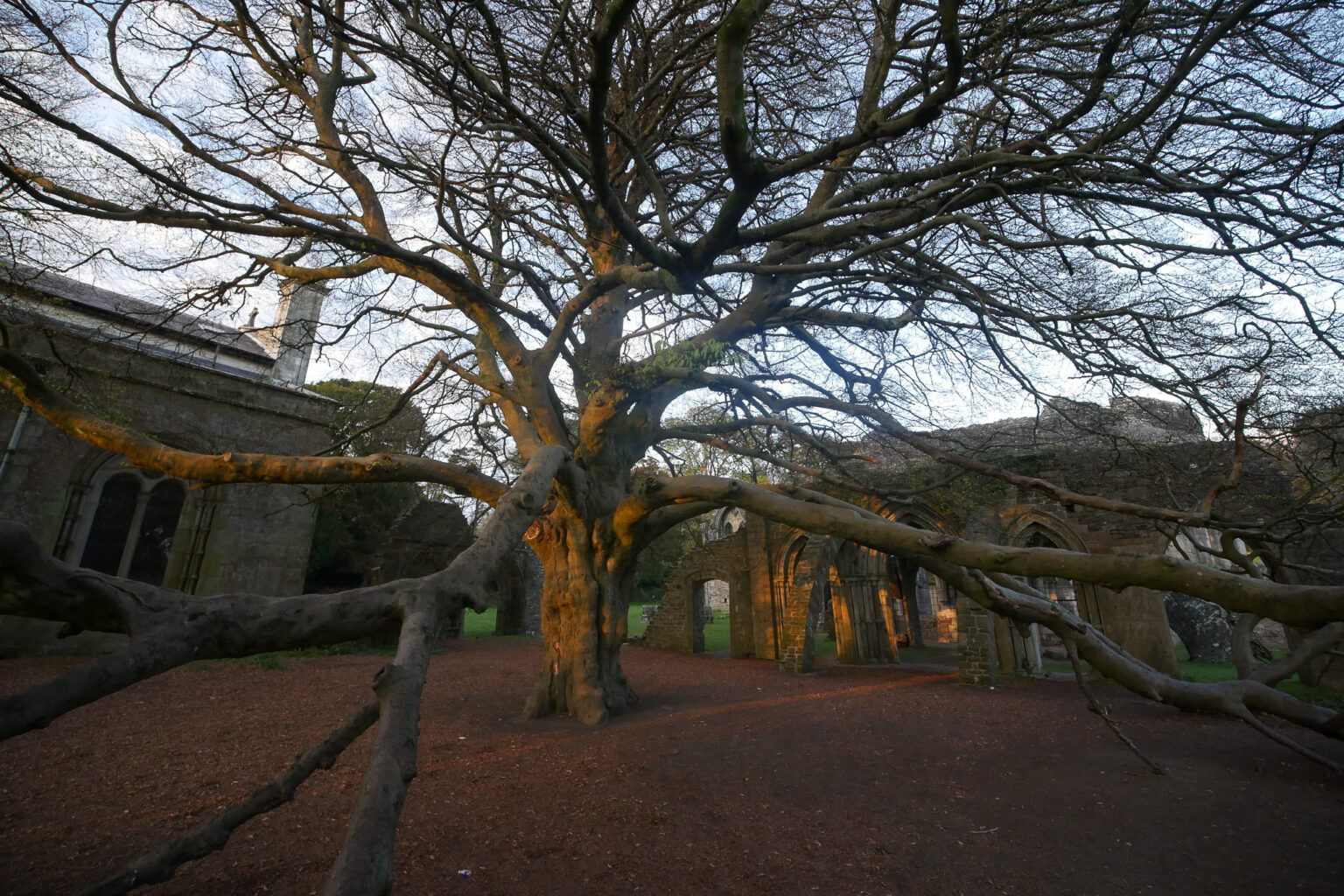 Margam Country Park and Castle | Explore South Wales